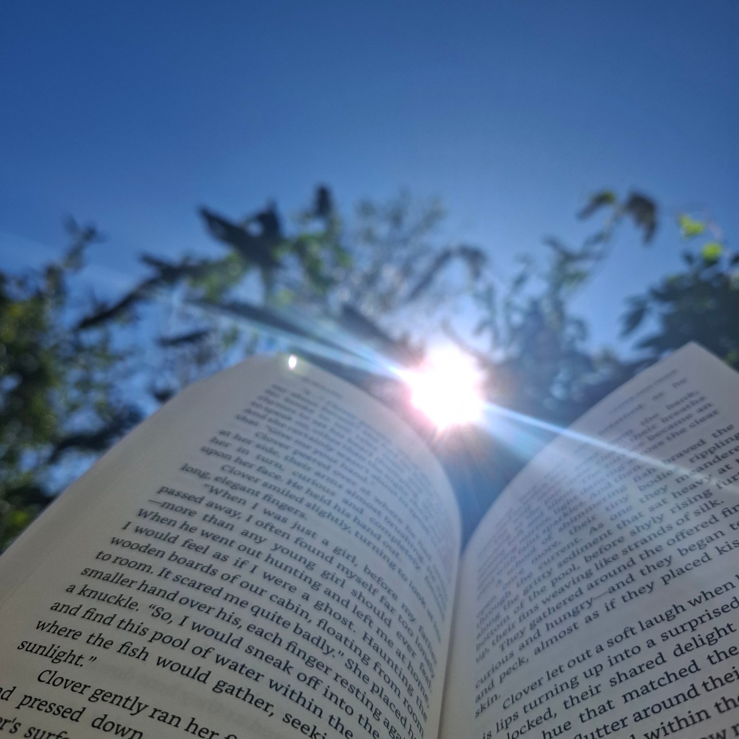 Freya Hollins – Author